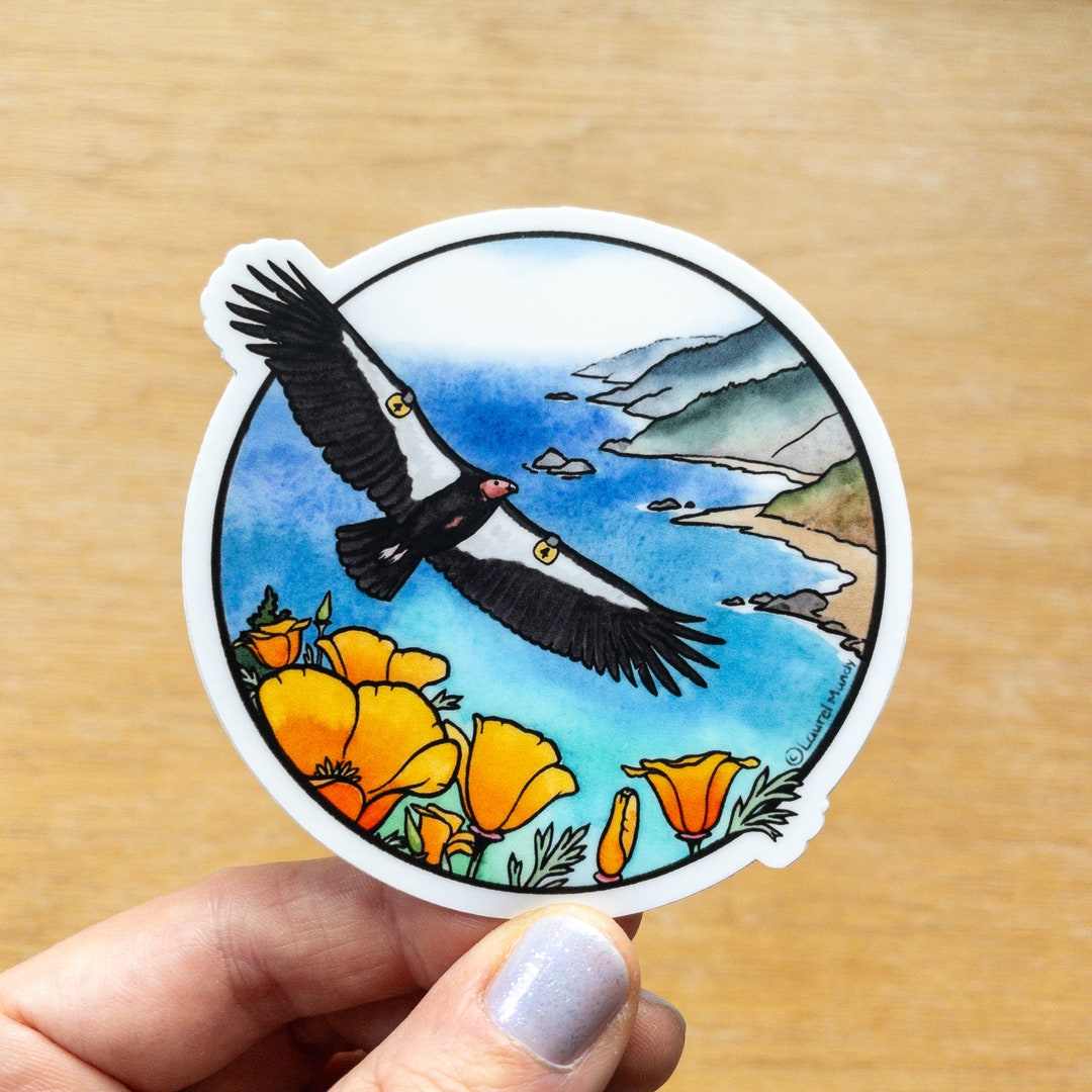 California Condor 3 Medium Vinyl Sticker Big Sur Poppies Waterproof ...