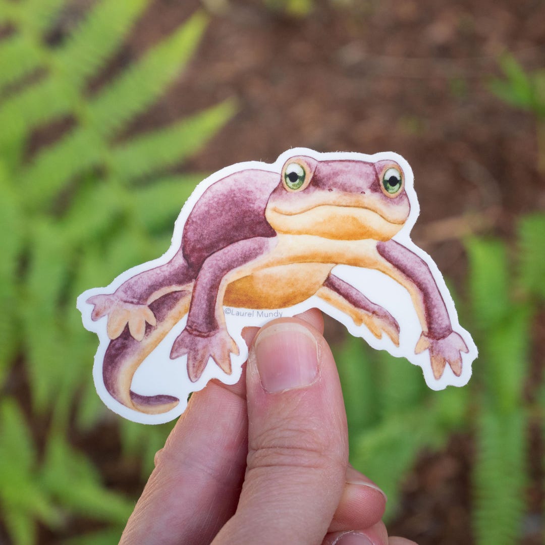 Rough-skinned Newt 3" Medium Vinyl Sticker - Weatherproof Dishwasher ...