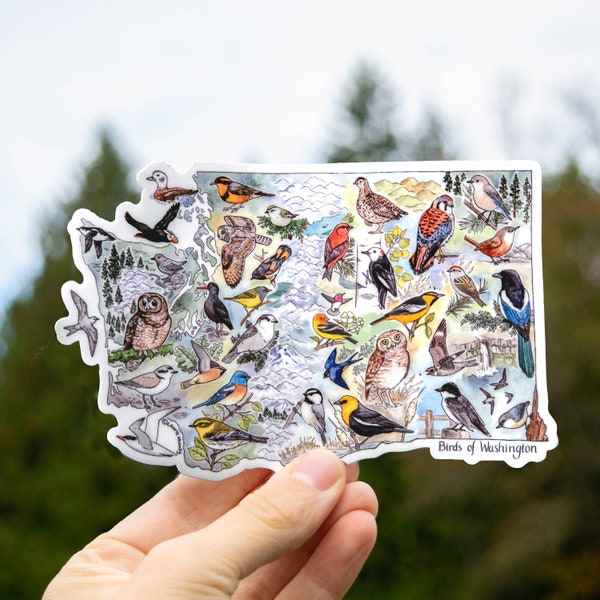 Large Bird Houses - Etsy