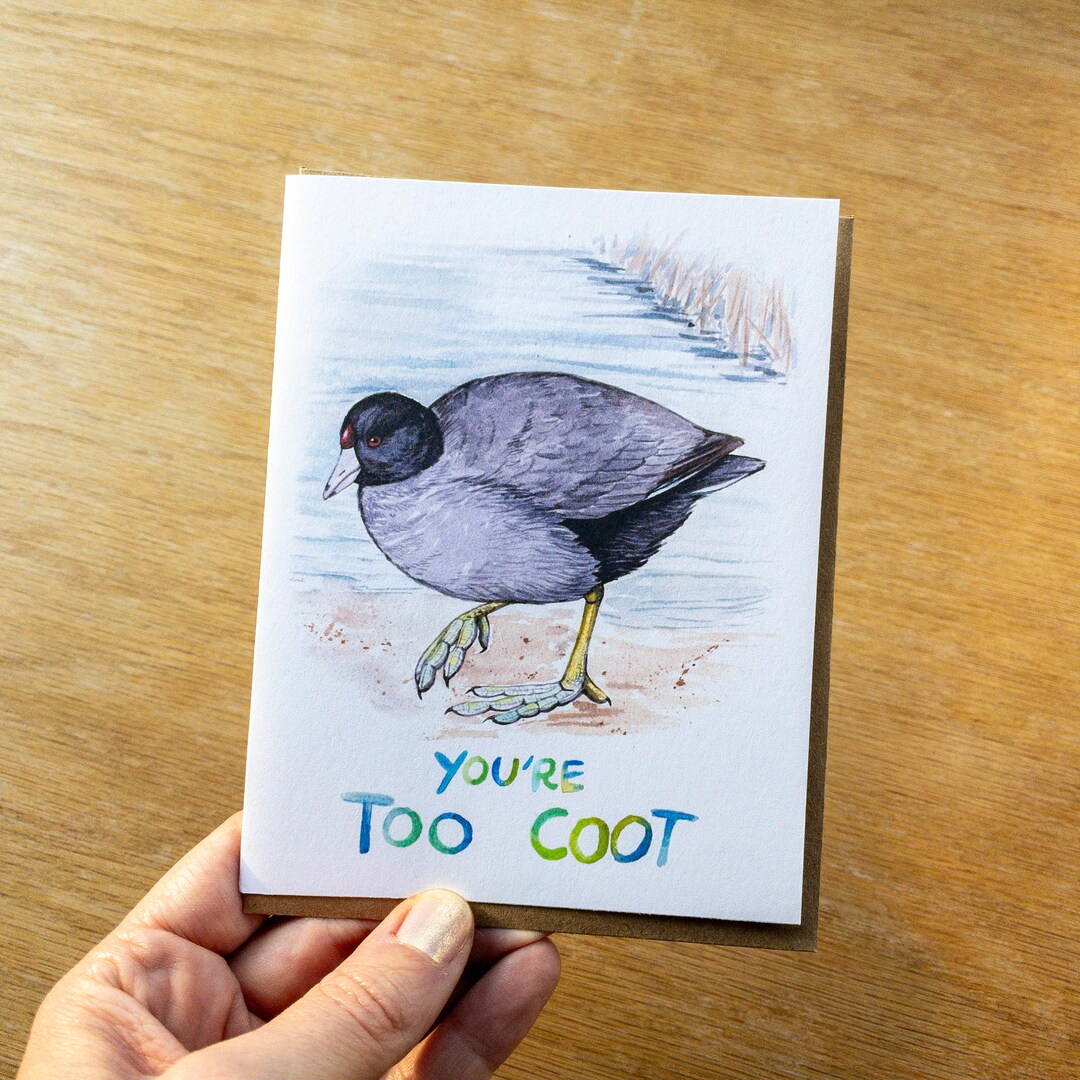 You're Too Coot American Coot Bird Pun Greeting Card 100% Recycled ...