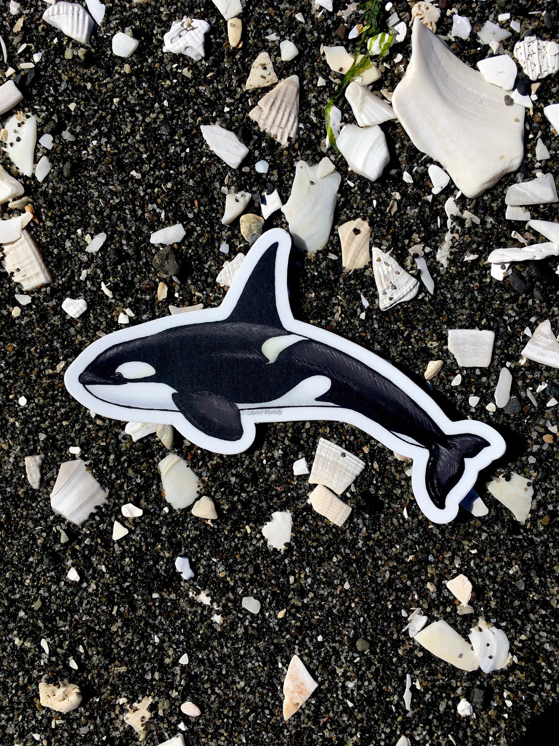 Orca Whale 4 Medium Water Resistant Vinyl Sticker for - Etsy
