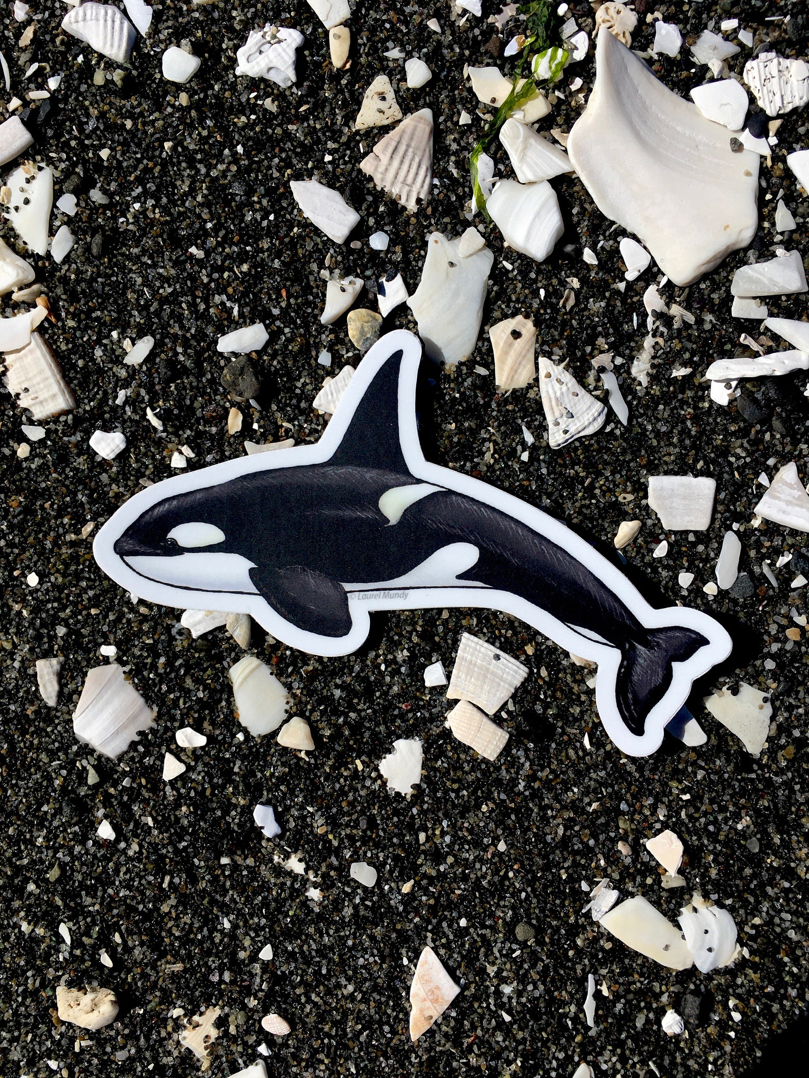 Orca Whale 4 Medium Water Resistant Vinyl Sticker for - Etsy