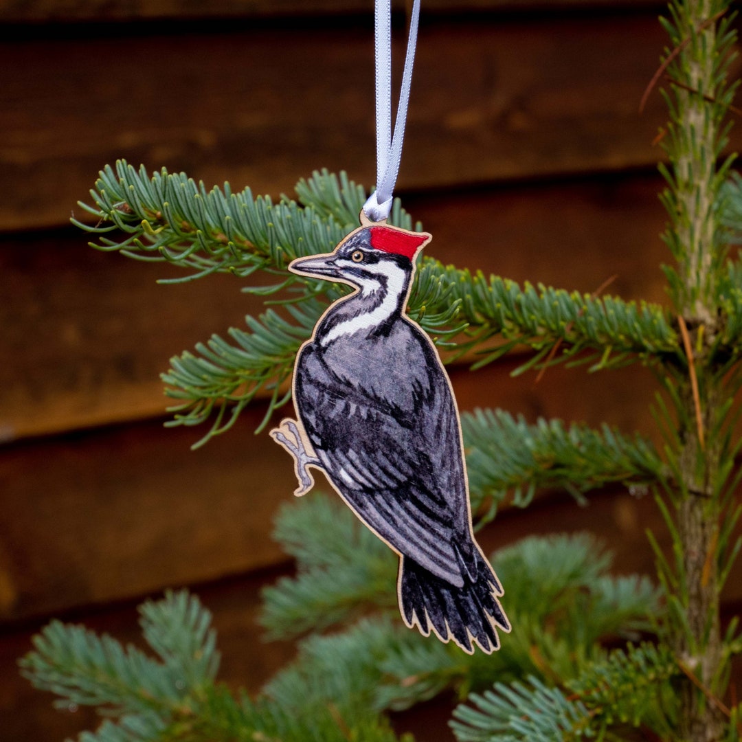 Pileated Woodpecker Sustainable Maple Ornament Tree Home Decoration - Etsy