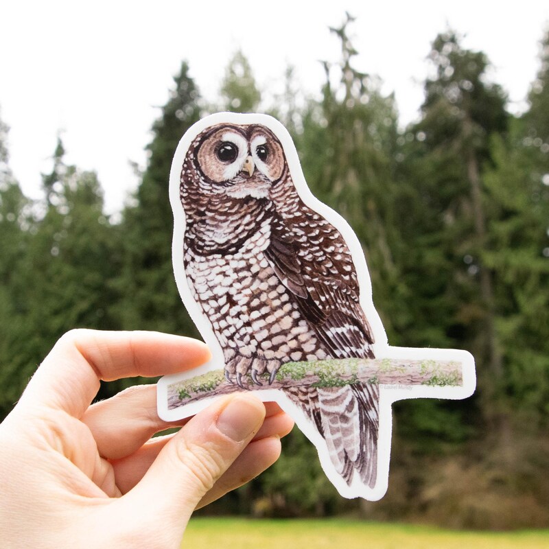 Owl Wall Sticker - Etsy