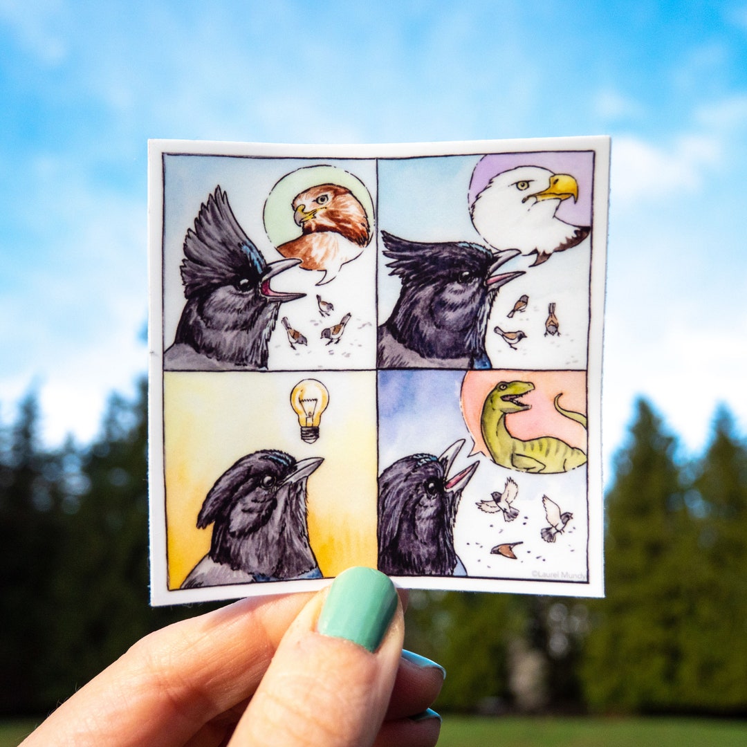 Steller’s Jay the New Raptor 3" Medium Vinyl Sticker Waterproof ...