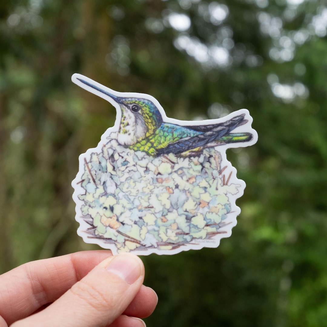 Hummingbird Mama 3" Medium Vinyl Sticker Weatherproof/dishwasher Safe ...