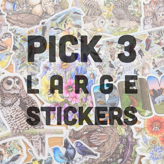 Dishwasher Safe Stickers
