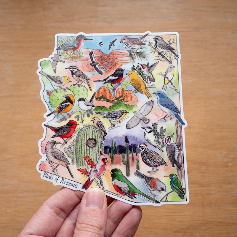 Arizona Stickers - Etsy
