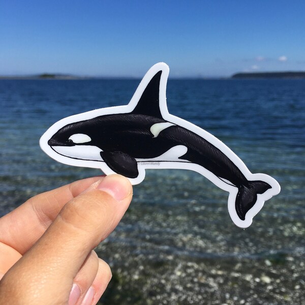 Orca - Etsy