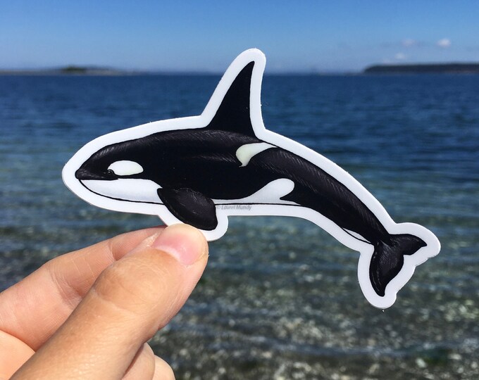Orcas Island Washington Vinyl Sticker, Water Bottle Sticker, Laptop ...