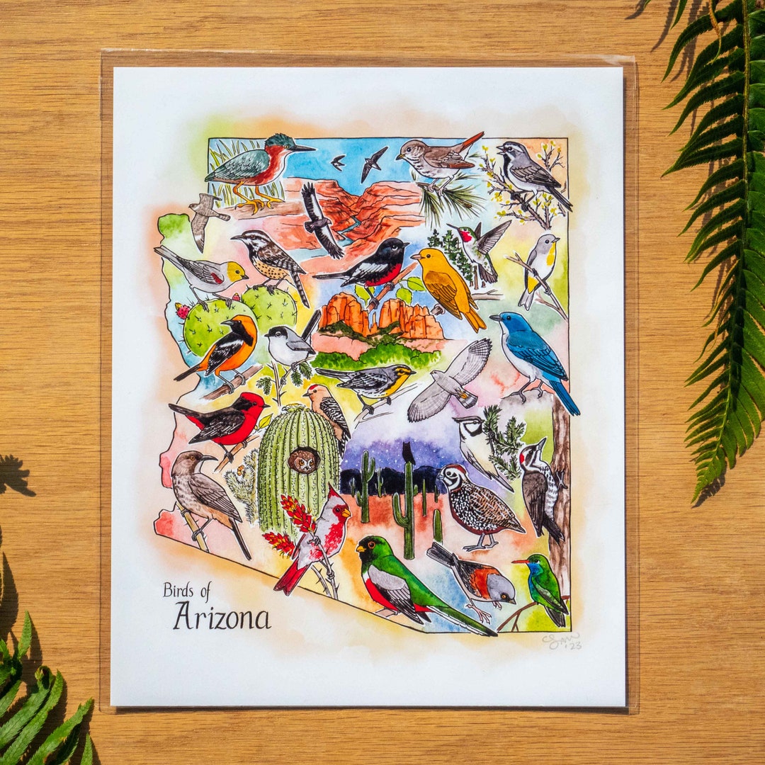 Birding Arizona Map 11x14 or 8x10 Art Print New Edition - Map for ...