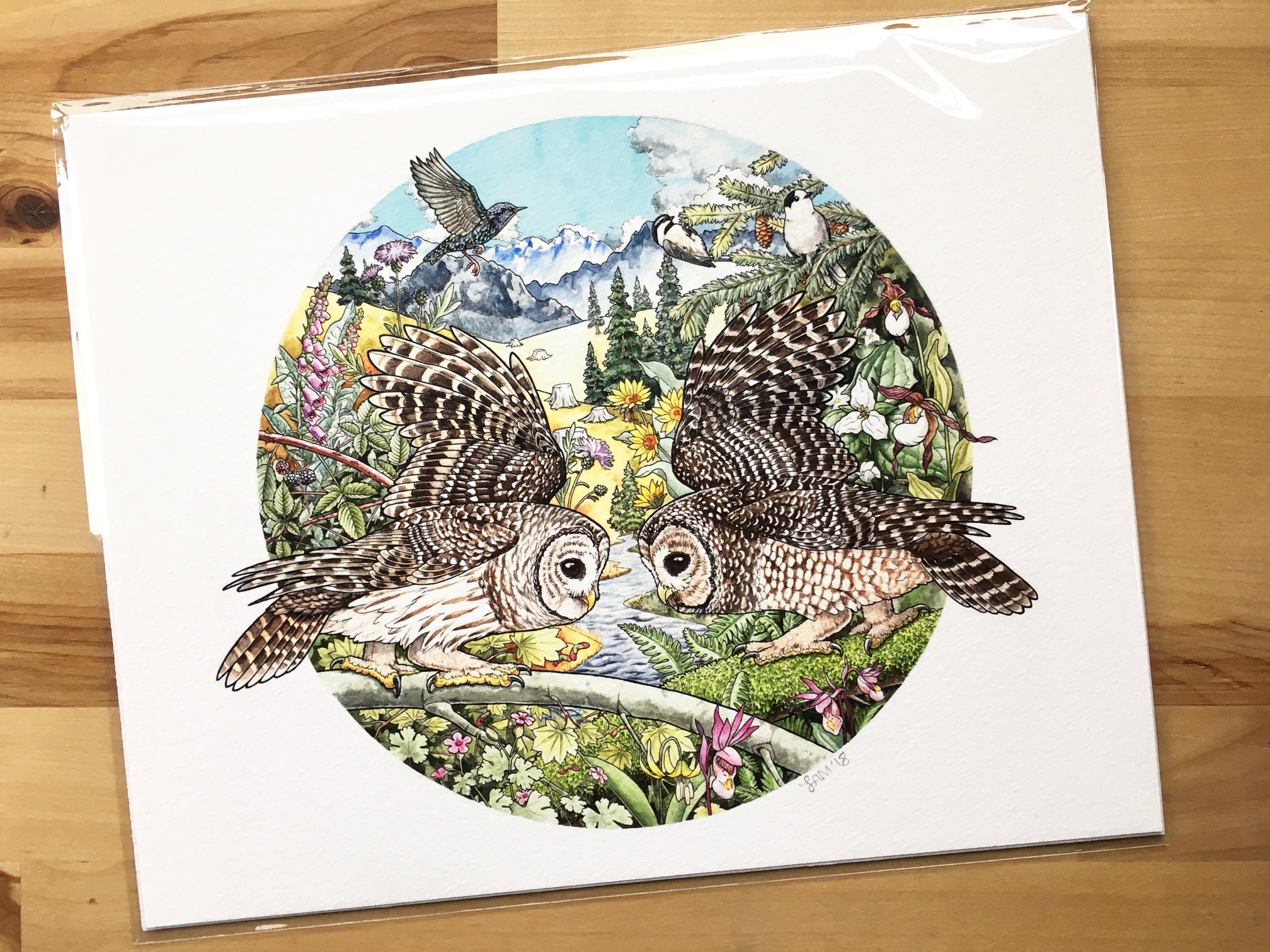 Competitors (spotted Owl and Barred Owl) 8x10 or 11x14 Fine Art Print ...