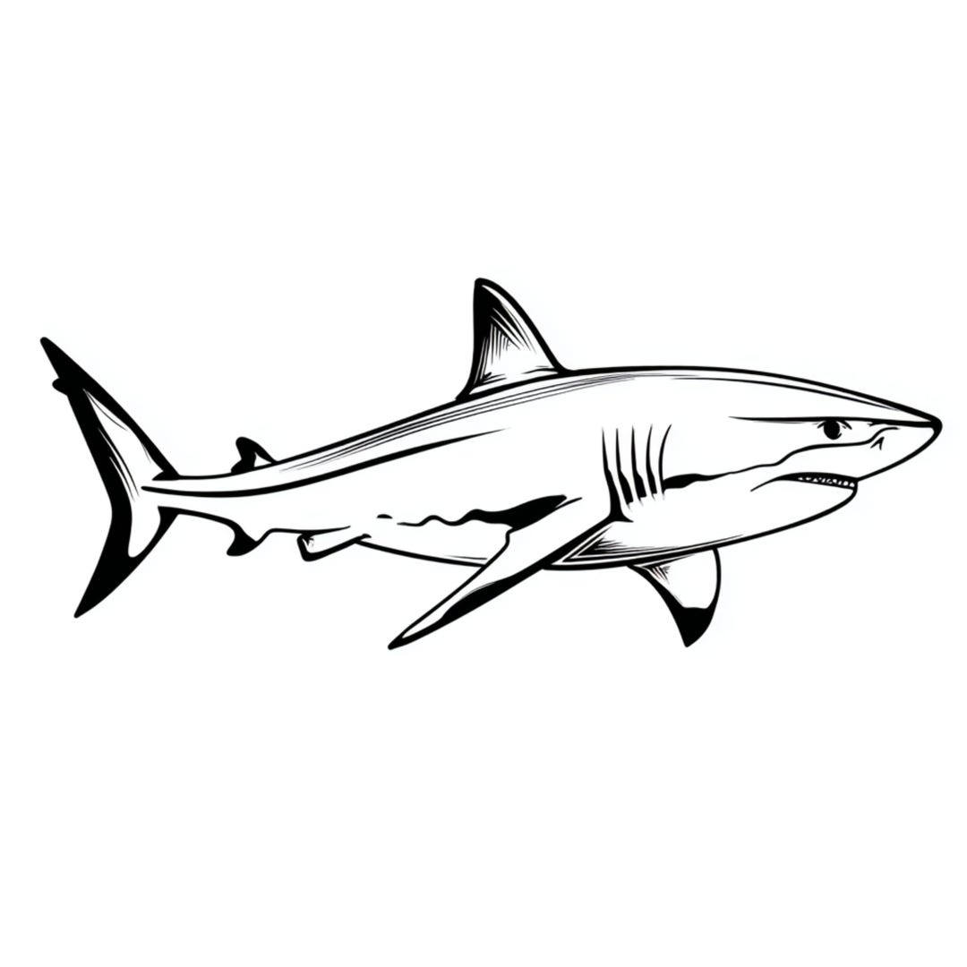 Shark Clipart Pack – 4 SVG PNG Designs | Shark Illustration for Cricut ...