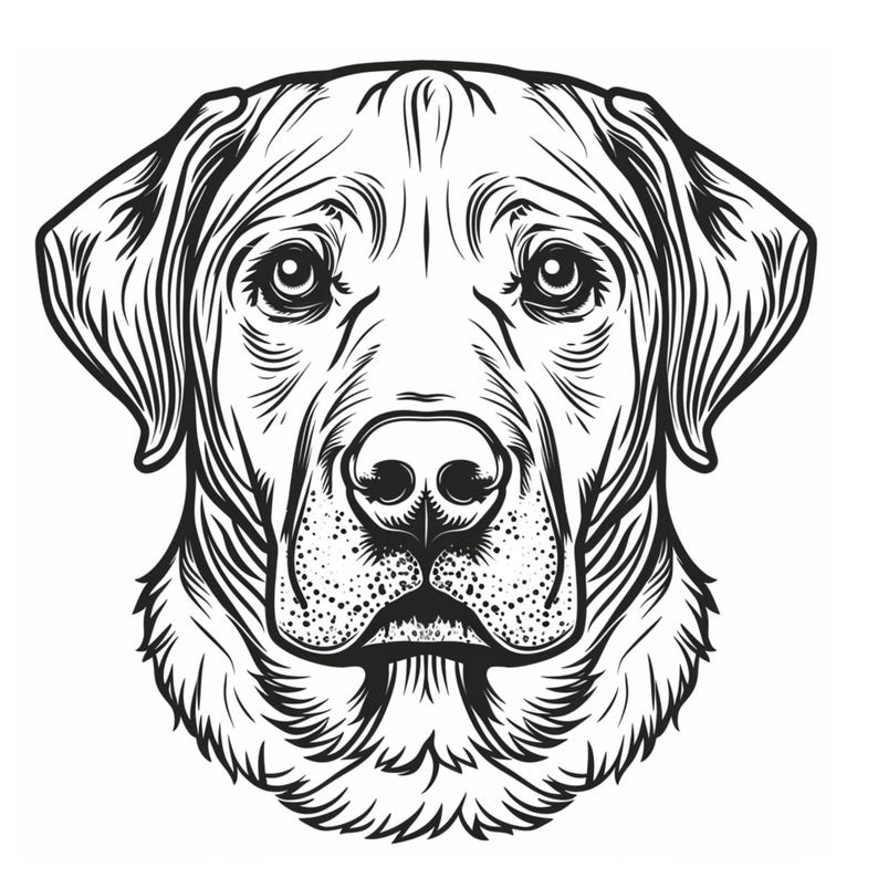 Cute Labrador Face SVG/PNG – Digital Cut File for Cricut & Silhouette ...
