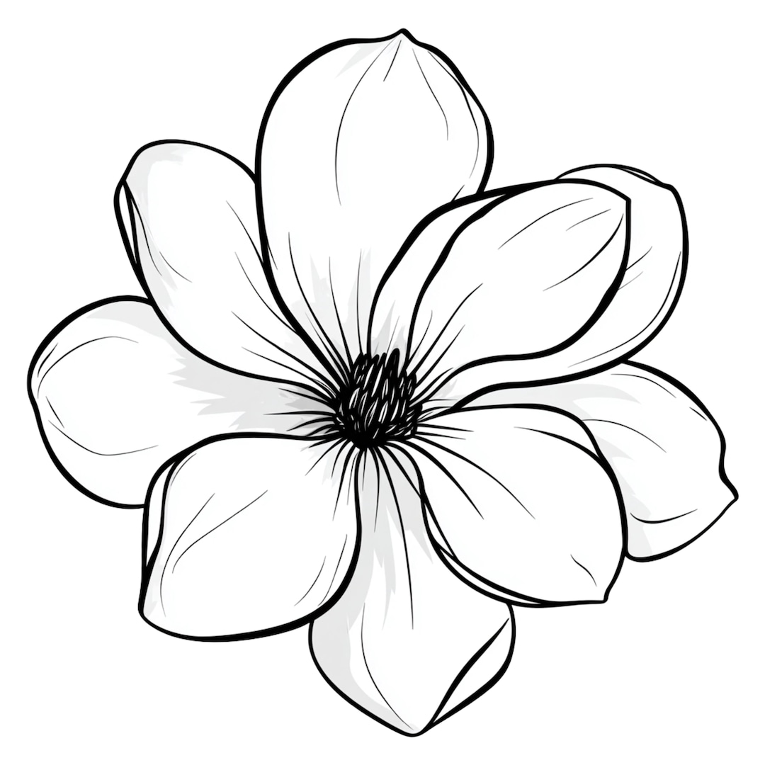 Cute Magnolia Flower Illustration PNG & SVG, 300 DPI, Transparent ...