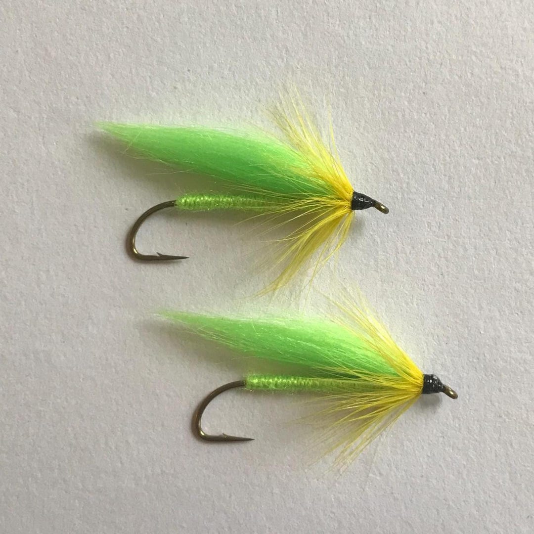 Green Cardinal - Salmon and Trout Streamer Flies - 2 Pack Combo - Etsy