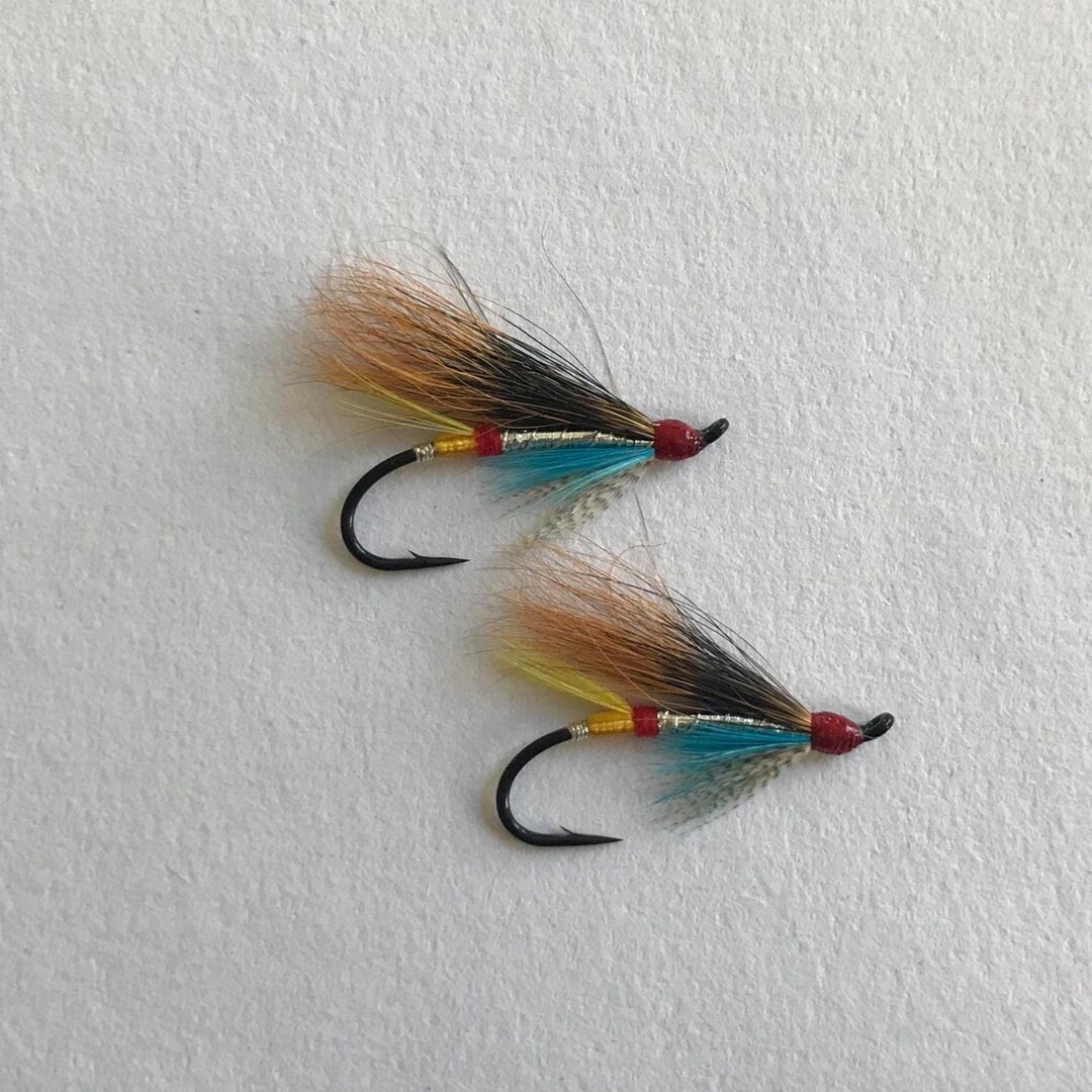 Silver Doctor - Atlantic Salmon Flies - 2 Pack Combo - Etsy