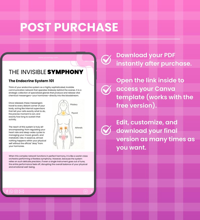 Hormone Balance Guide for Women | Wellness Coach PLR Template | Women's ...