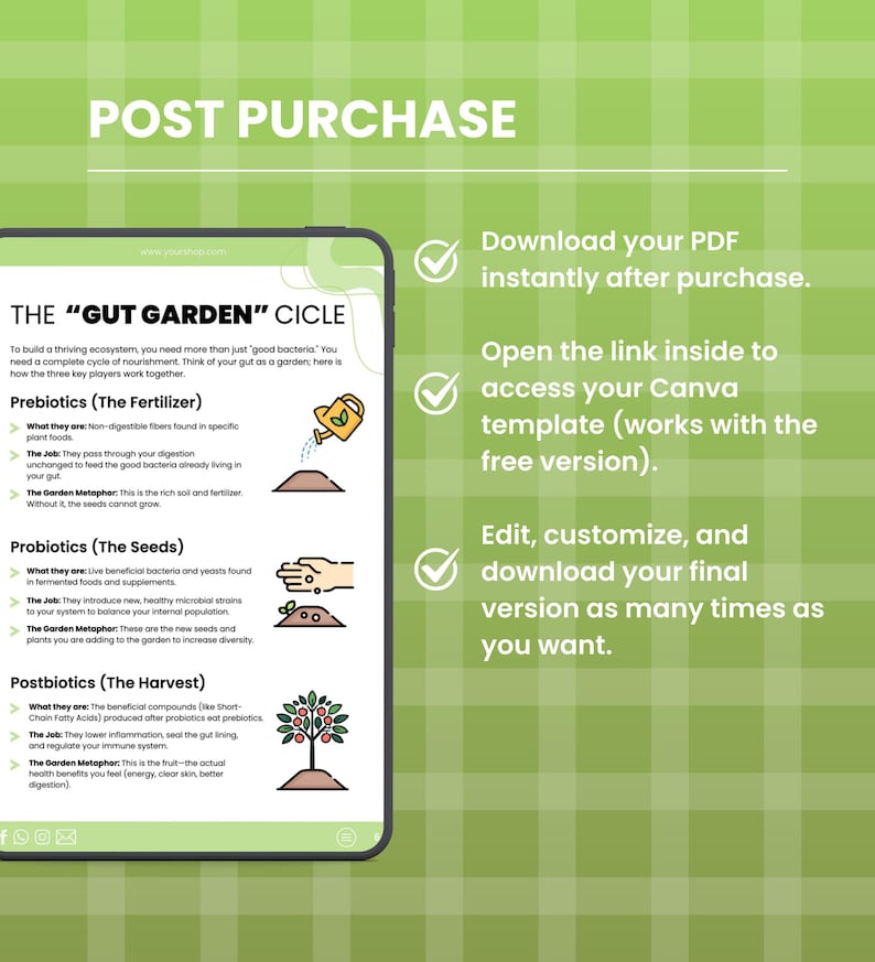 Probiotics & Prebiotic Guide PLR, Gut Health Coaching Tool, Fermented ...