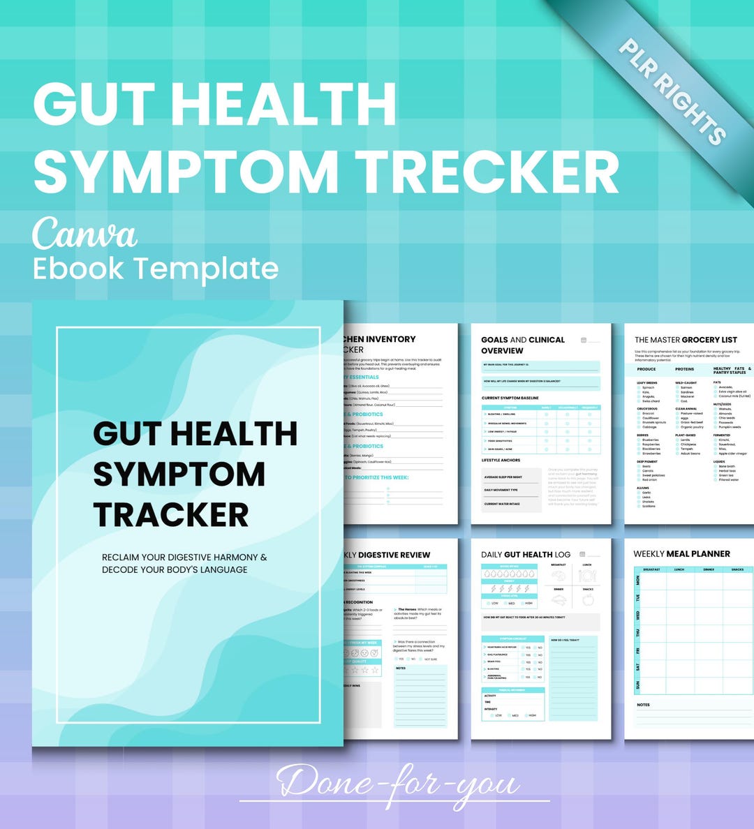 Gut Health Symptom Tracker PLR, Digestion Journal Canva Template ...