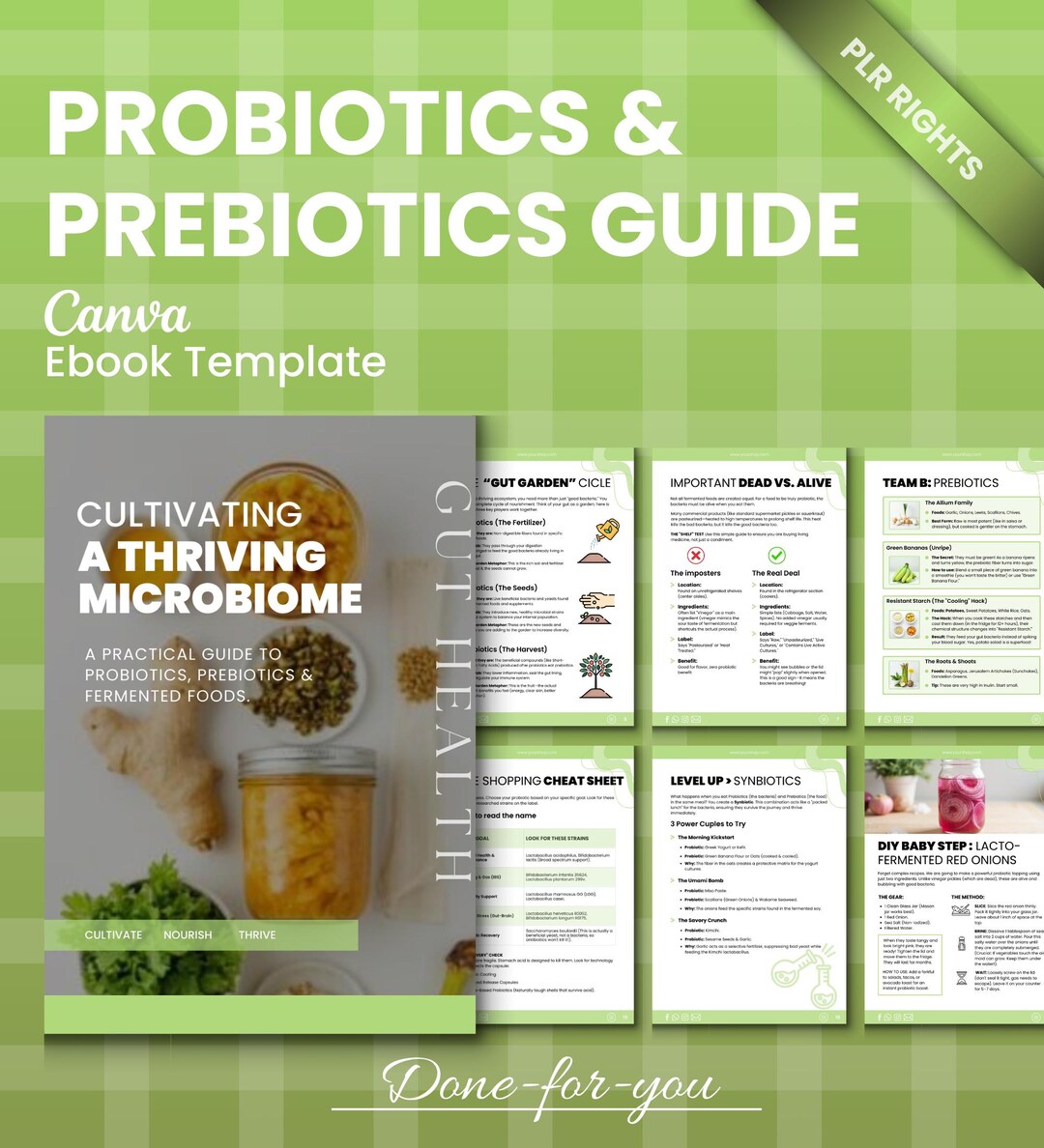 Probiotics & Prebiotic Guide PLR, Gut Health Coaching Tool, Fermented ...