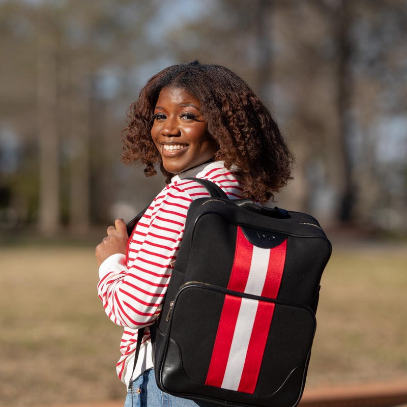 Delta Sigma Theta Backpacks - Etsy