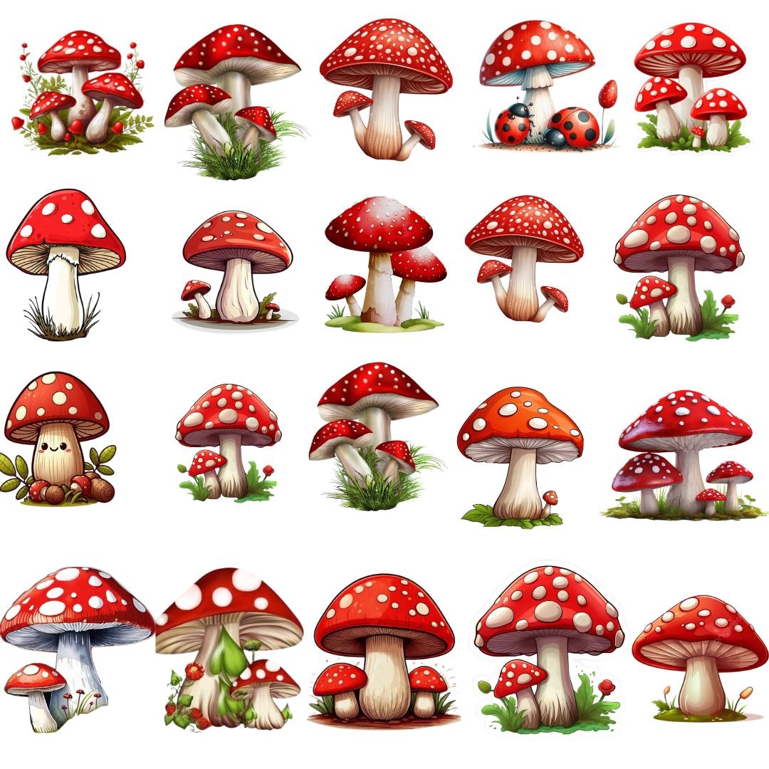 Watercolor Mushroom Clipart Bundle, Forest Toadstool PNG (digital ...