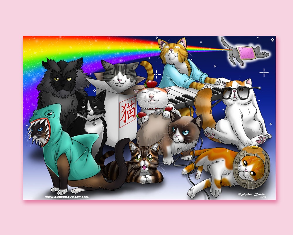 Famous Internet Cats Maru