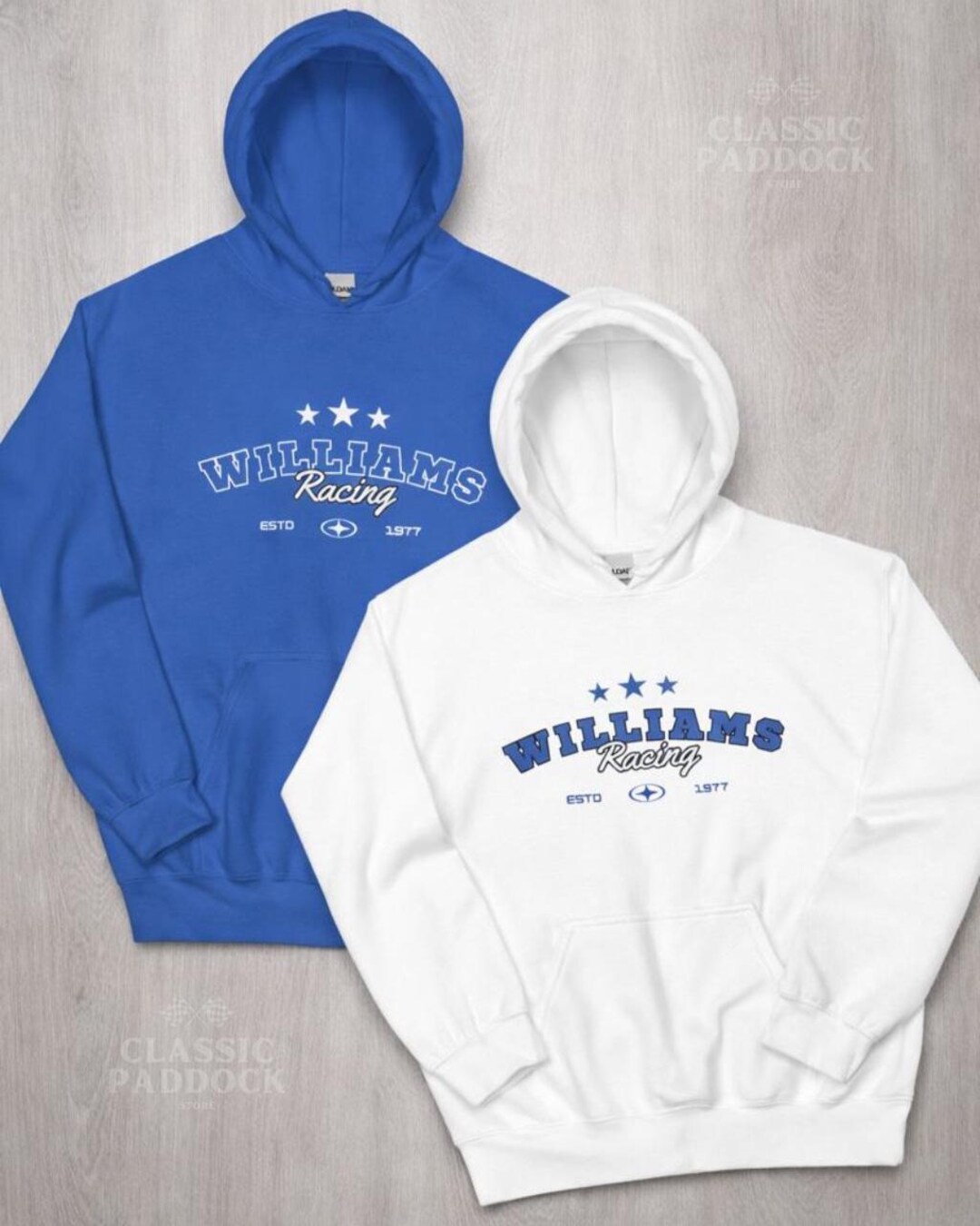 Williams F1 Hoodie, F1 Fan Merch, Gift for Carlos Sainz and Alex Albon ...