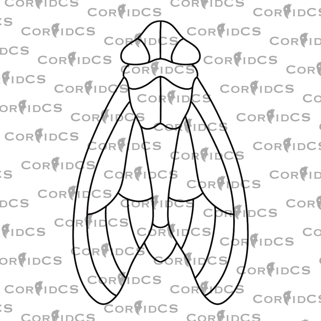 Cicada Stained Glass Pattern - Digital Download - Etsy