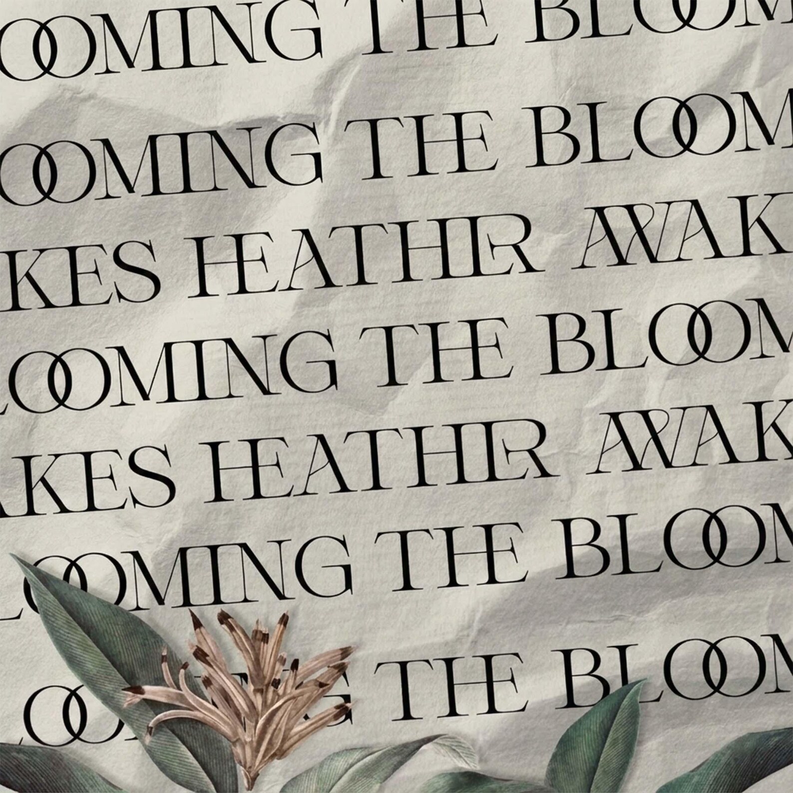 The Ultimate 550+ Fonts - Font Bundle, Cricut, Canva Font, Script Font ...