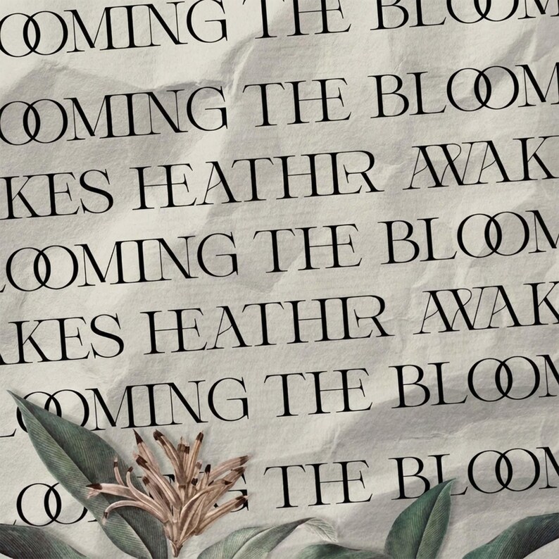 The Ultimate 550+ Fonts, Font Bundle, Cursive Font Bundle, Script Fonts ...