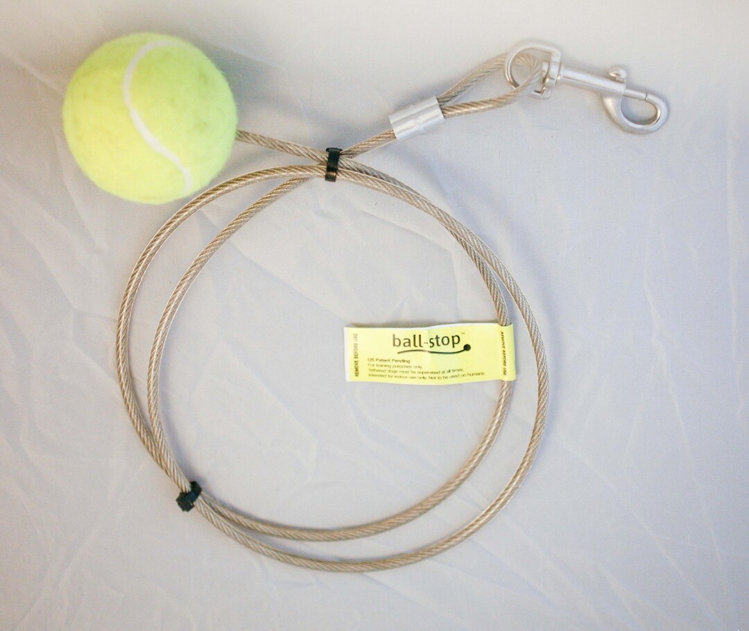 6 Ft Portable Dog Training Tether for Interior Doors (yellow) - Etsy