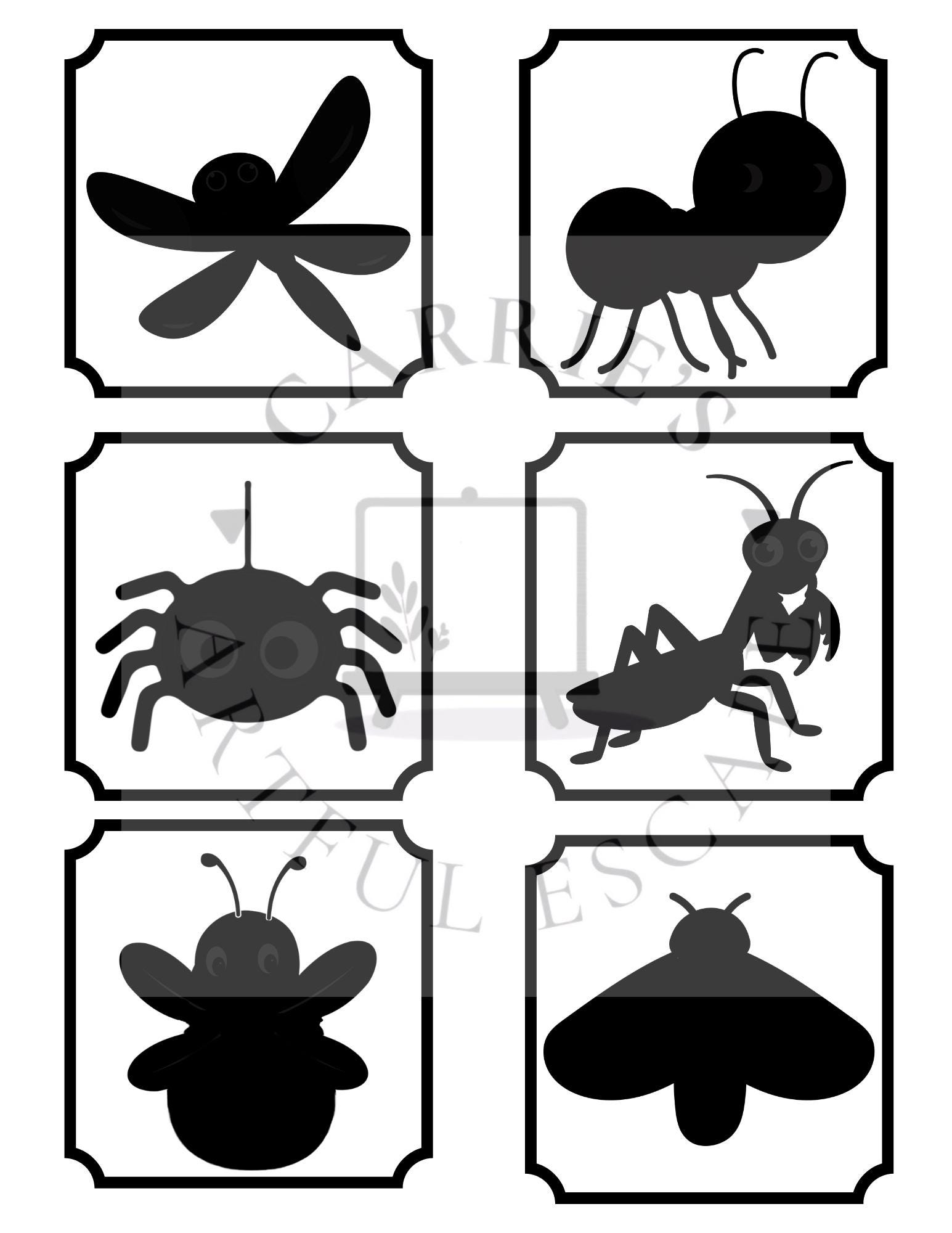 Insect Shadow Matching Cards, Montessori, Fine Motor, Visual ...