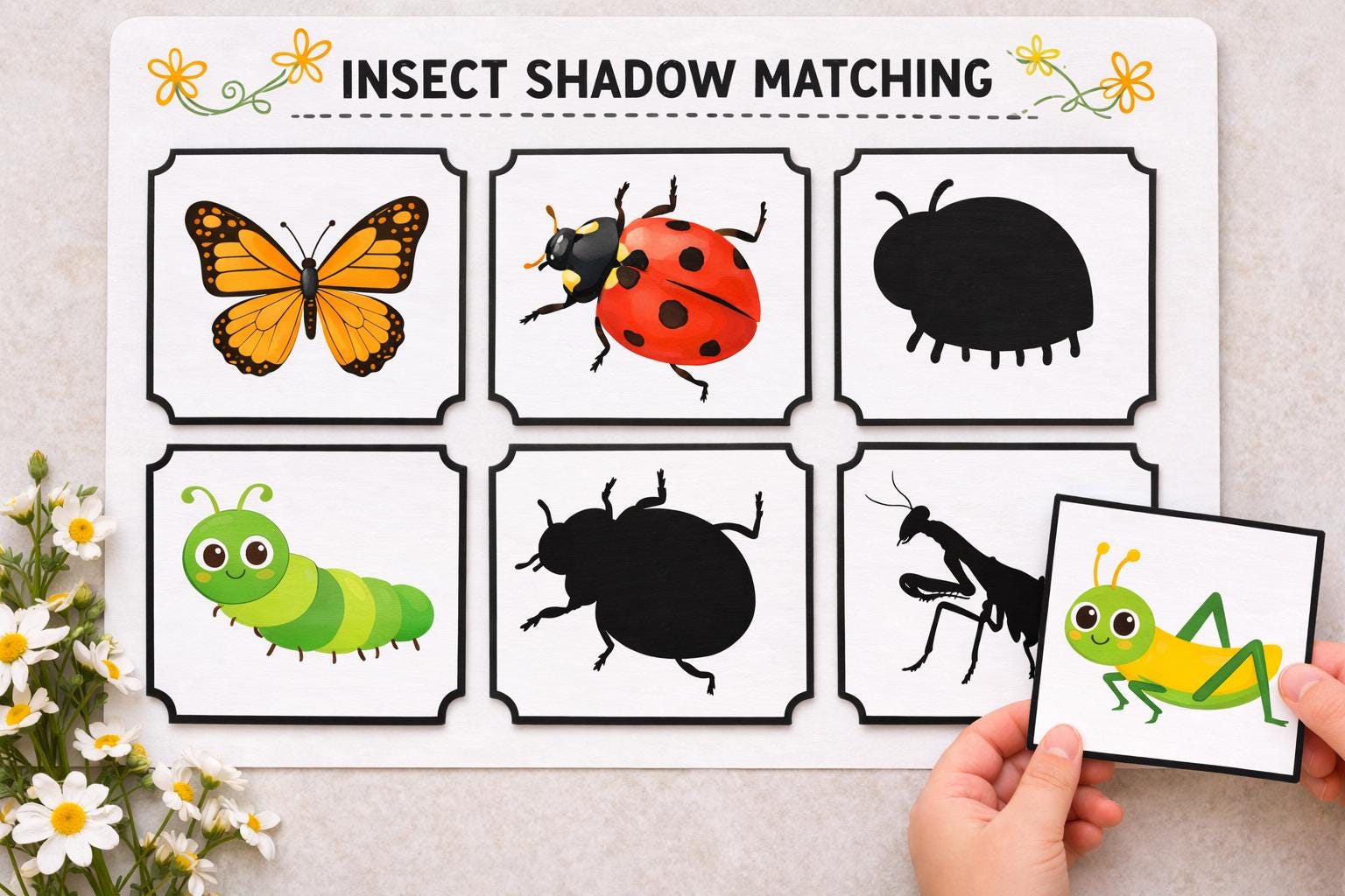Insect Shadow Matching Cards, Montessori, Fine Motor, Visual ...