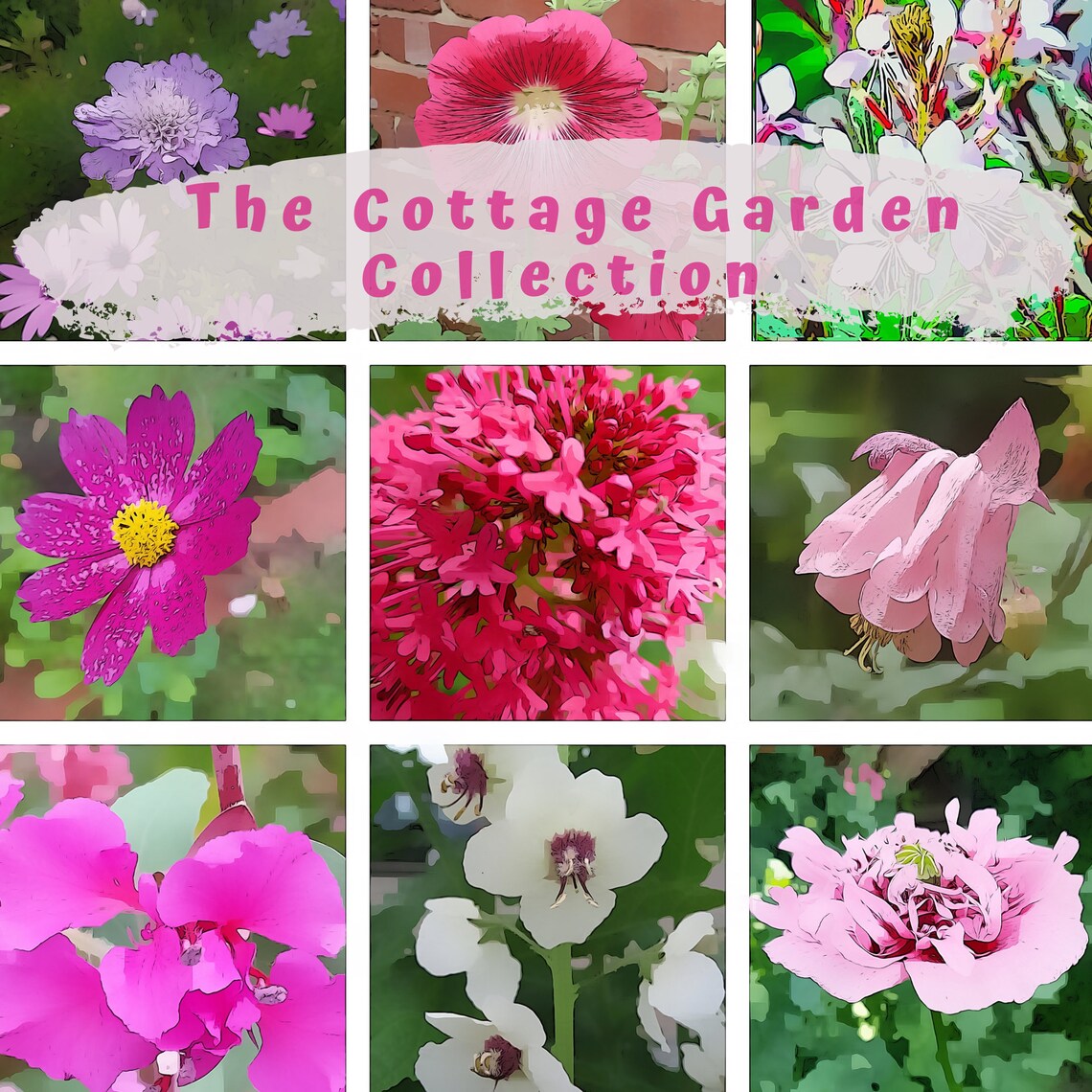 The Cottage Garden Collection Flower Seeds - Etsy Australia