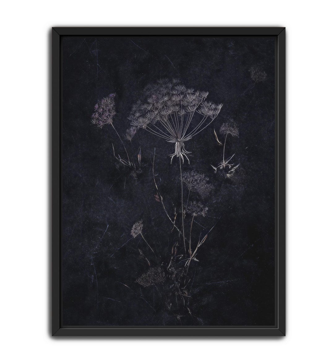 Gothic Dandelion Botanical Wall Art, Dark Floral Illustration Print ...