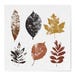 Fall Leaves Rubber Stamp Clipart: Distressed PNG, Layered PDF (digital ...