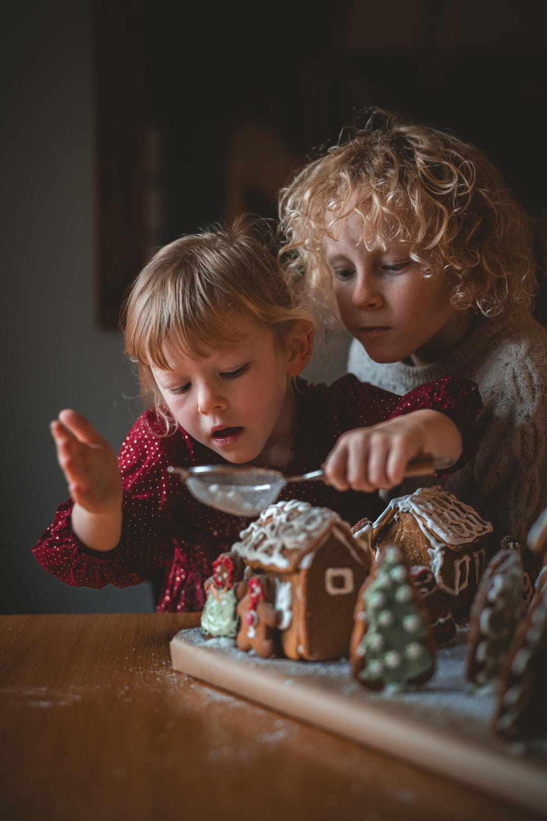 Wild Gingerbread Recipe - Etsy