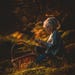 Puffball Mushroom ID Guide - Etsy