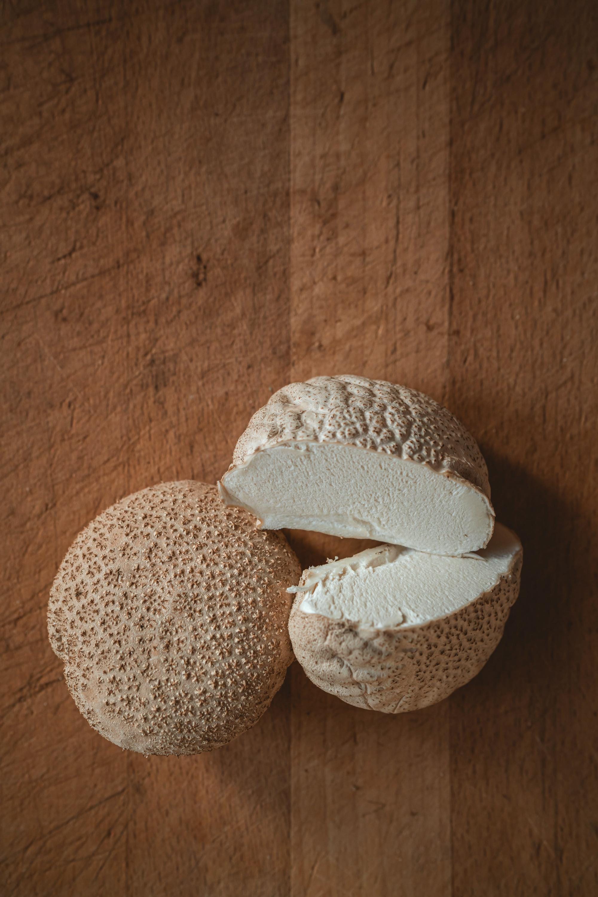 Puffball Mushroom ID Guide - Etsy