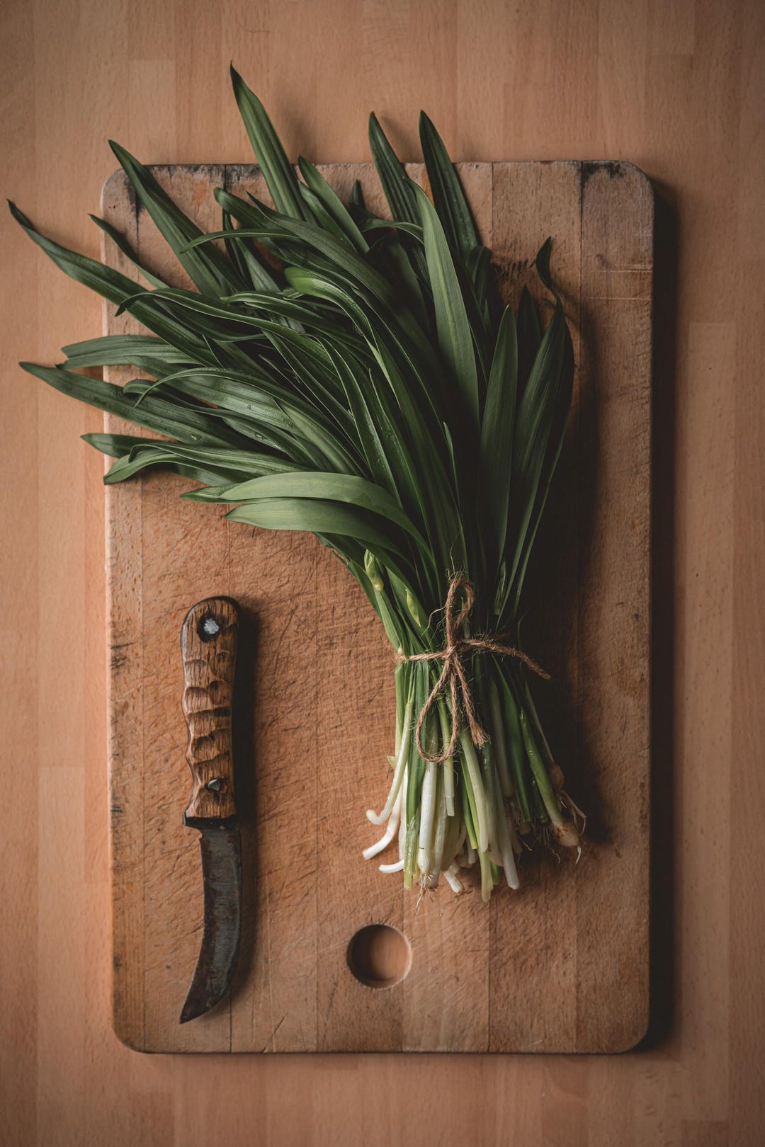 Few-flowered Leek ID Guide - Etsy