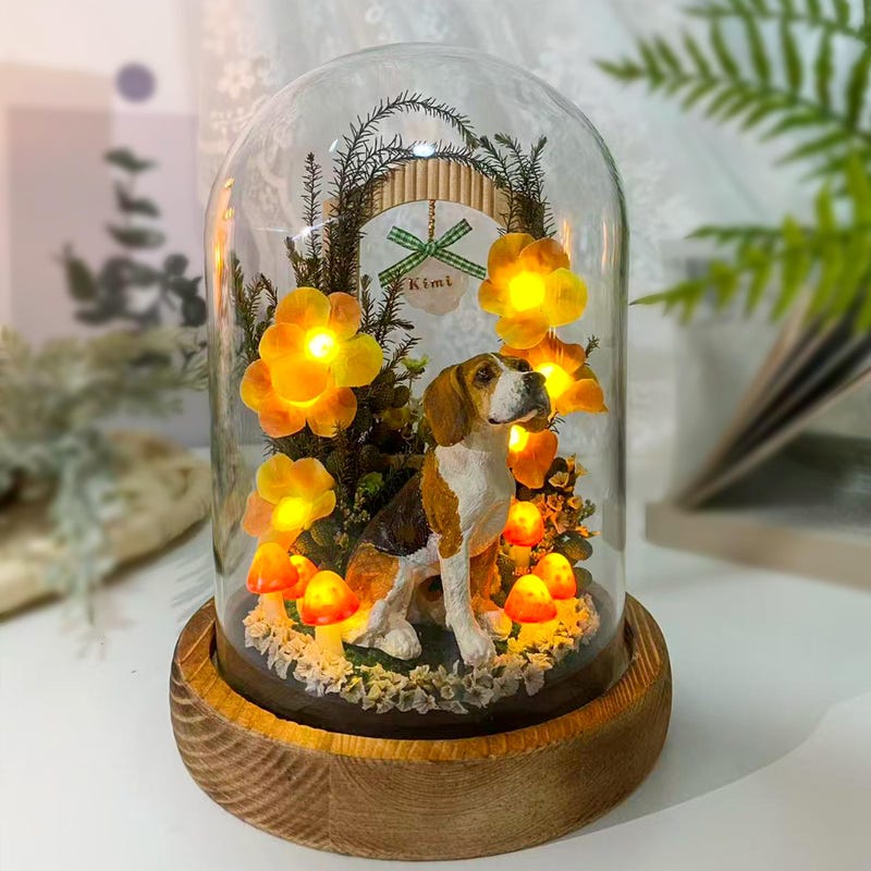 Pet Memorial Terrarium - Etsy UK