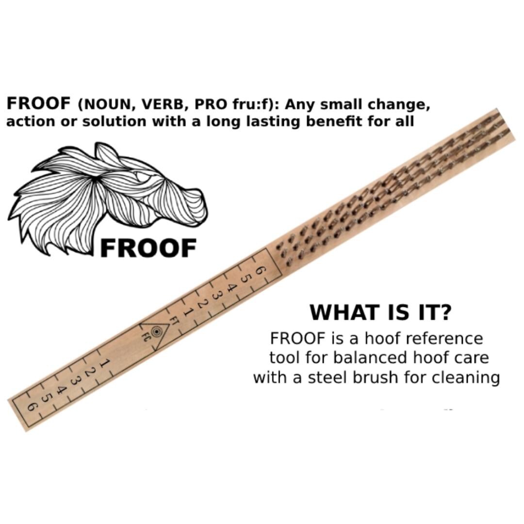 Froof - Horse Hoof Reference Tool for Balanced Hoof Care - Etsy