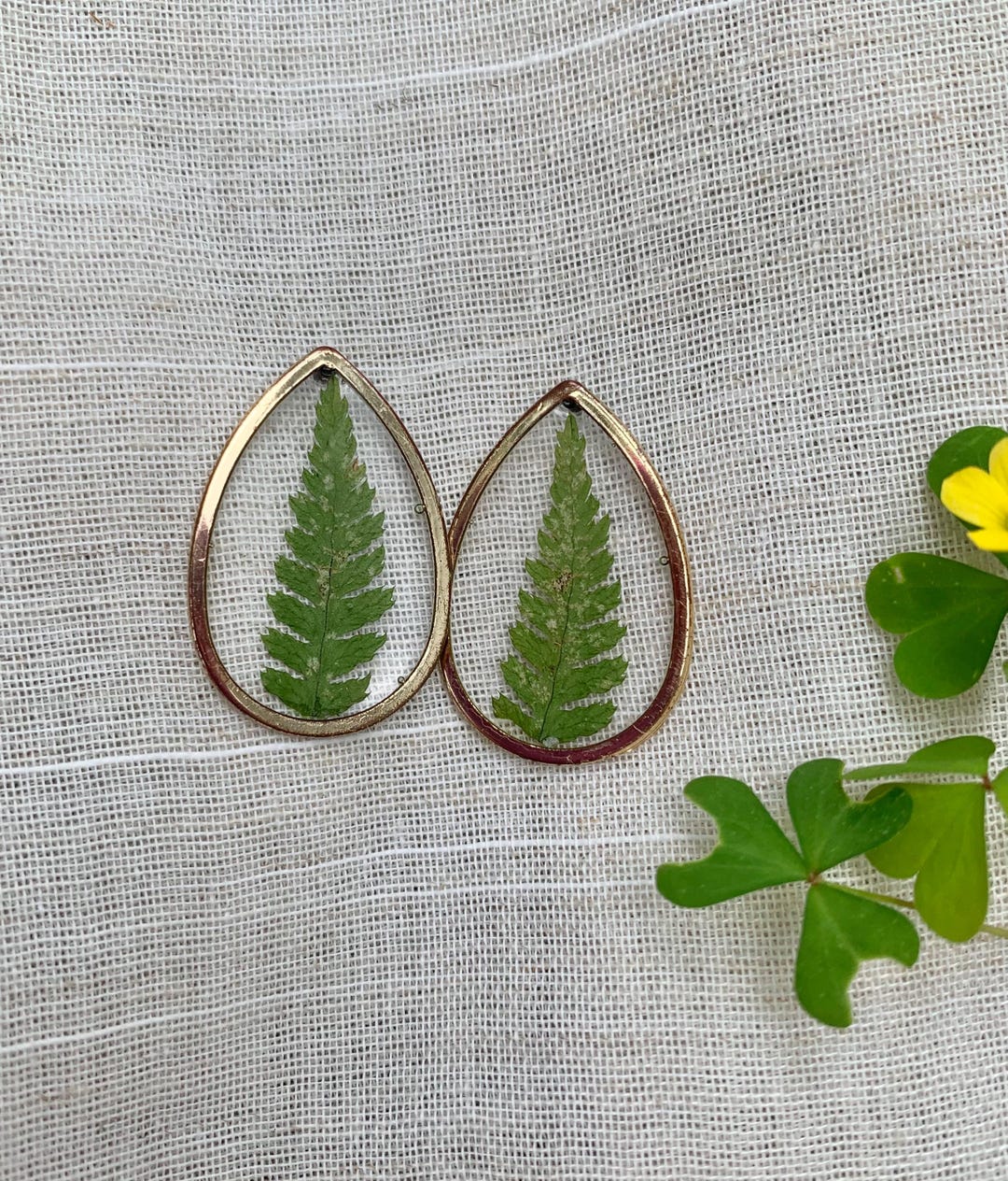 Fern Resin Gold Stud Earrings, Real Nature Earrings, Fern Earrings ...