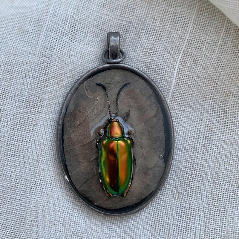 Real Bug - Etsy