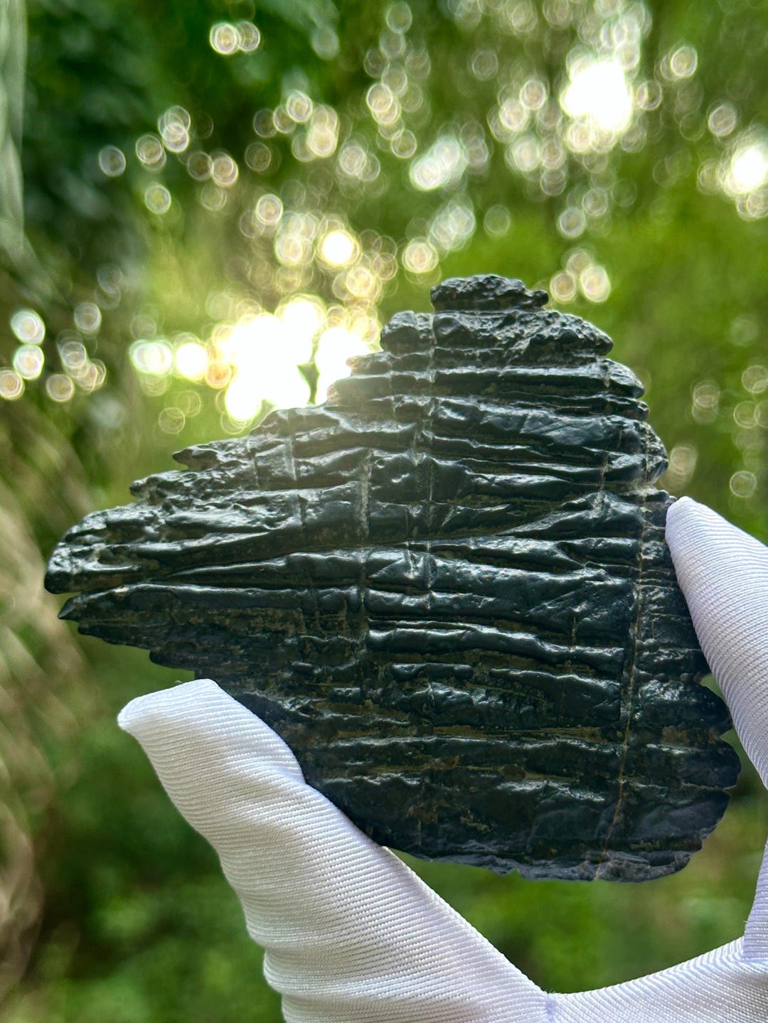 Angel Wing Lingbi Stone : Dao-kan Pattern, Spiritual Eye, Zhouzhai Mine ...