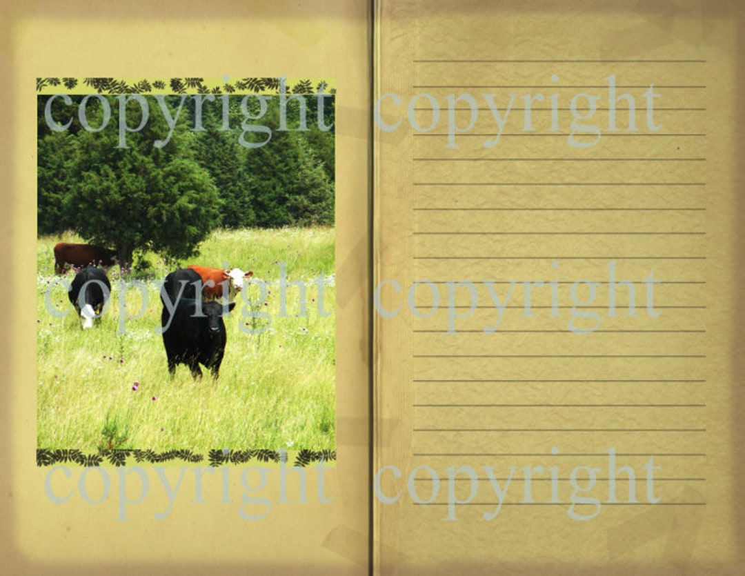 Guard Cows in Field, Printable Image, Journal Page, Junk Journal, Green, Tan 8.5x11 - Etsy
