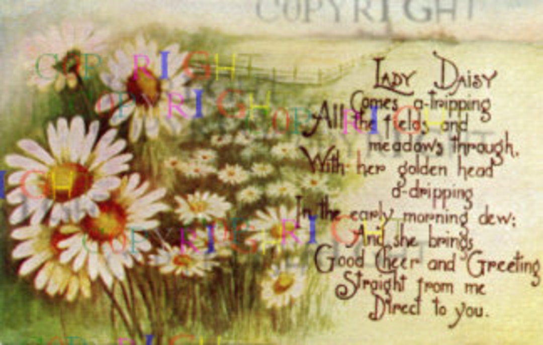 Field of Daisies Poem Postcard, Printable Art, Instant Download ...