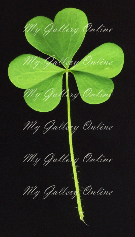 Clover Scan, Digital Download for Crafts, Altered Art, Jewelry, Labels ...